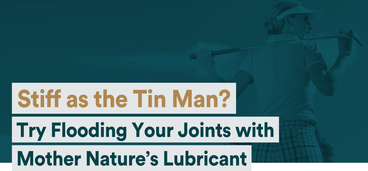 Keep Your Joints Loose As a Goose With “Mother Nature’s Lubricant ...